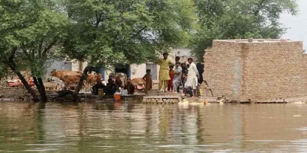 Indus River Swells; Flood Threat Escalates In Sindh After Punjab